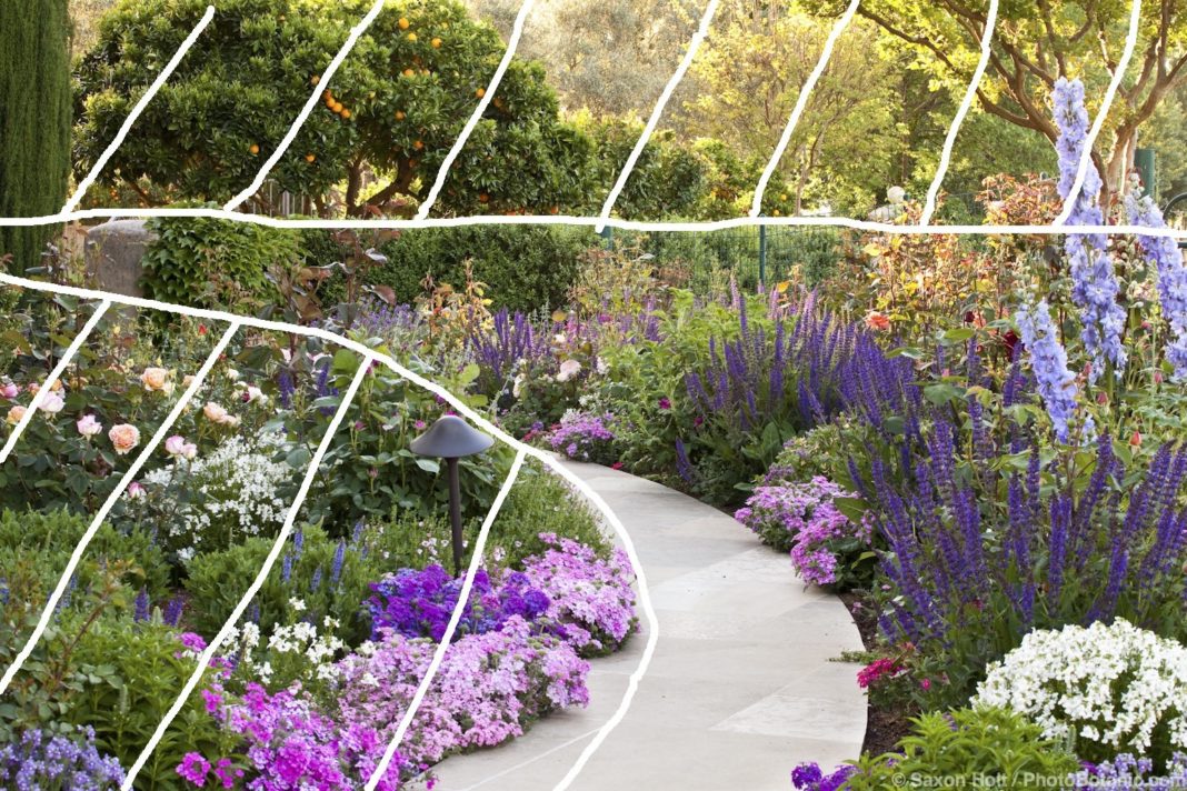 Blocking Shapes in a Photograph - Photobotanic