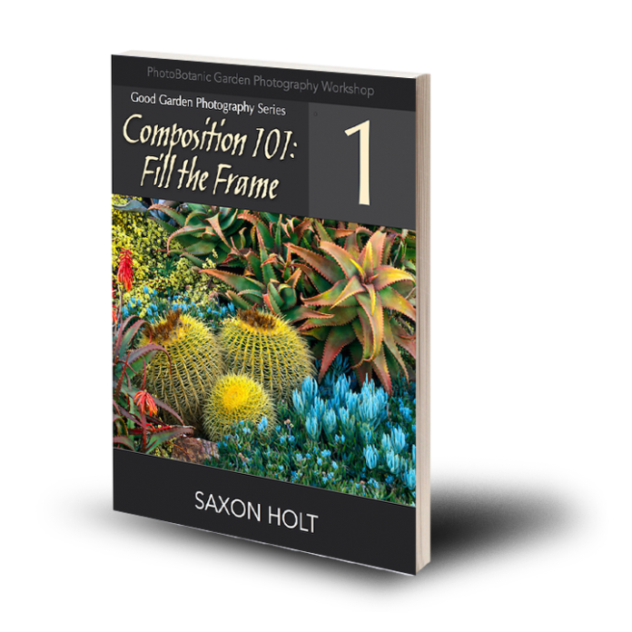 Composition 101 - Photobotanic