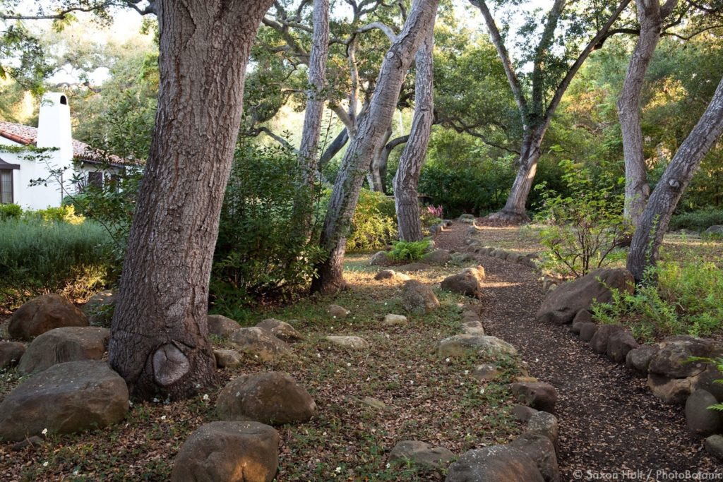 The Beauty of Natives - Photobotanic
