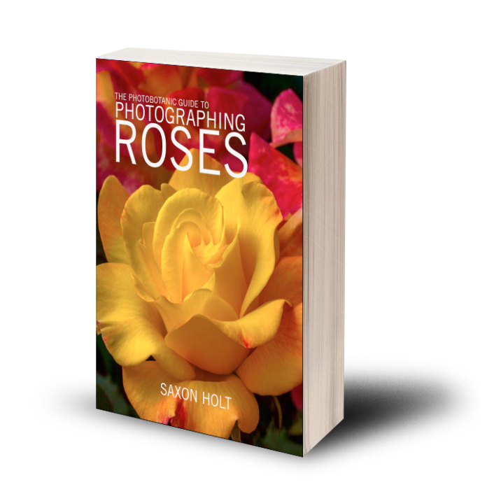 PhotoBotanic Guide to Photographing Roses E-Book - Photobotanic