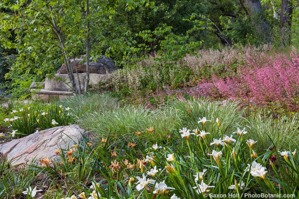 Santa Barbara Botanic Garden - Photobotanic