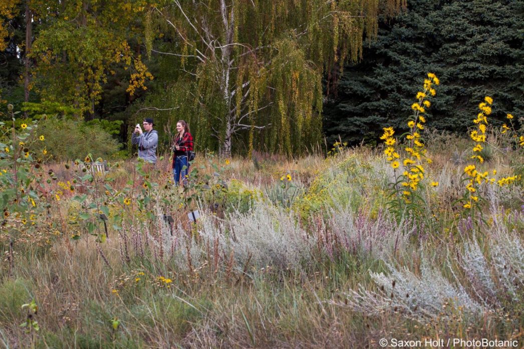 Autumn - Denver Botanic Garden - Photobotanic