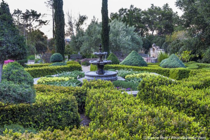 Leaning Pine Arboretum - Photobotanic